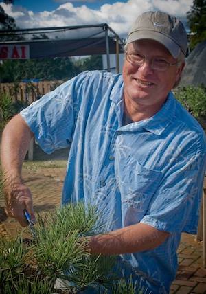 Bonsai at The Hidden Gardens in Willowbrook, IL